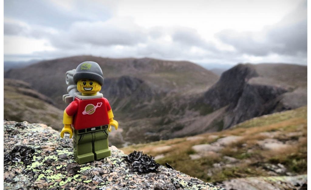 cropped-29782054002_536094d904_b.jpg - Marcus Purvis